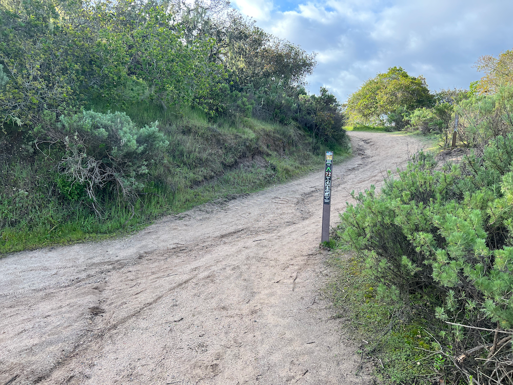 68 Press – Local News for Monterey County